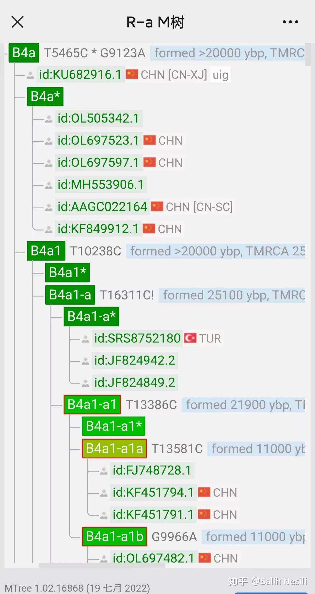 马保晟 B4母系和东亚人群的起源 知乎