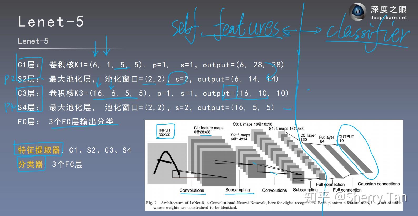 一文了解神经网络MLP(ANN), CNN, RNN - 知乎