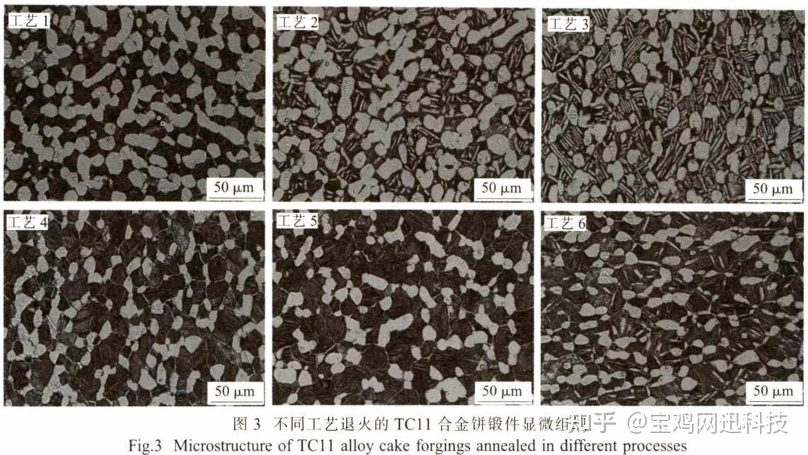 等温锻造和双重退火对TC11钛合金锻件显微组织和力学性能的影响 - 知乎