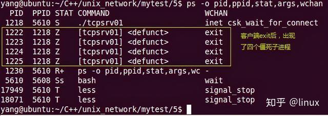 linux下wait/waitpid处理僵死进程详解(SIGCHLD信号) - 知乎