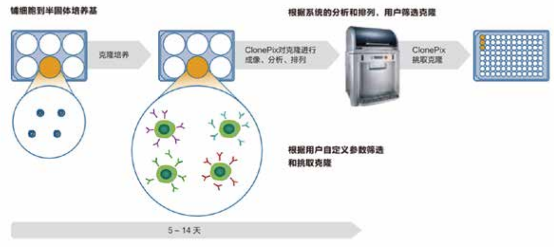 ClonePix 2系统在杂交瘤细胞筛选中的应用 - 知乎