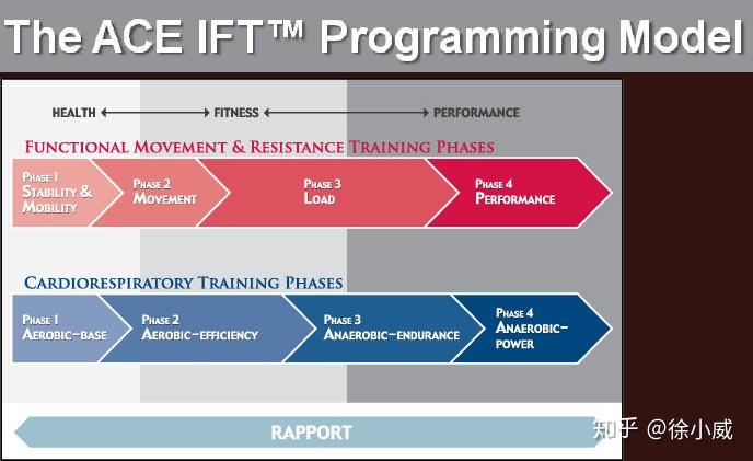 NASM OPT模型和 ACE IFT模式 - 知乎