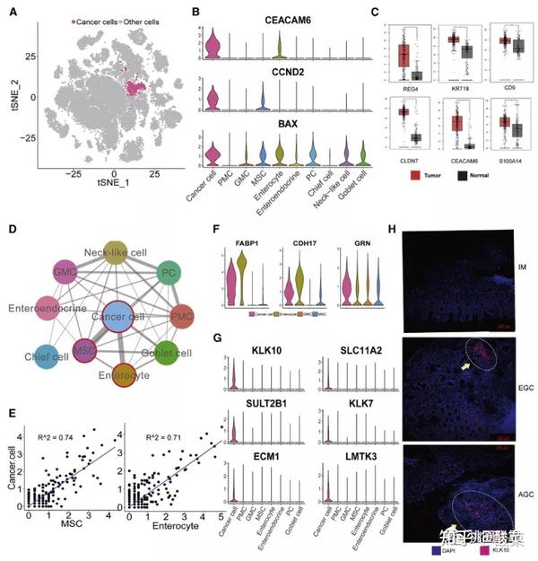 8+单细胞文章从解读到套路总结全部送给你 - 知乎