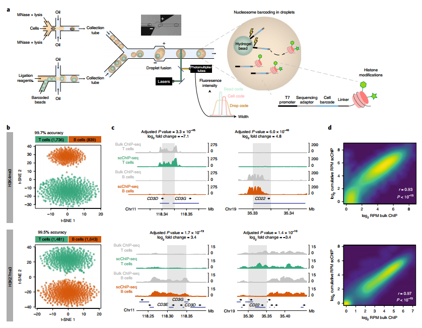Nature genetics | 高通量单细胞ChIP-seq识别乳腺癌染色质状态的异质性 - 知乎