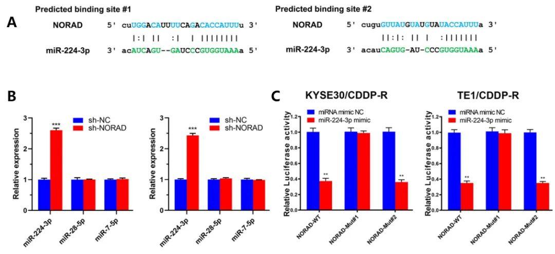 天呐！这个实验系统也太强大了吧！ - 知乎