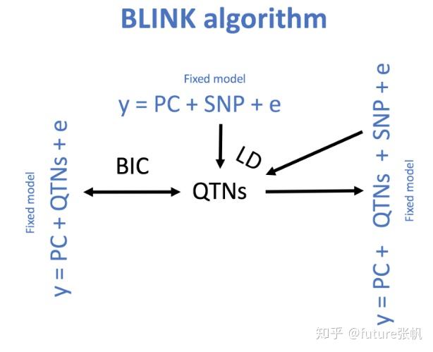 利用GAPIT进行gwas和gs分析（附带方法介绍） - 知乎