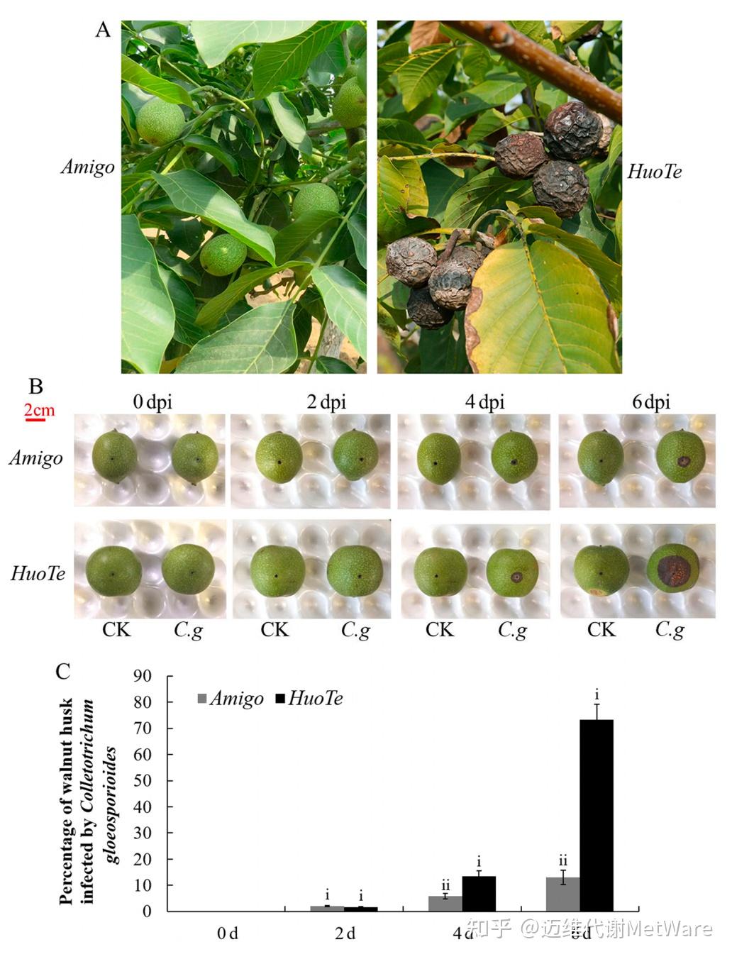 项目文章 | 两篇例文一次性学会抗感材料差异机制的多组学研究思路 - 知乎