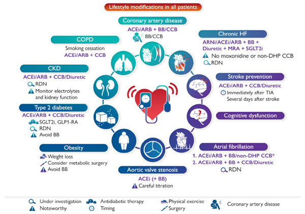 EHJ最新综述：合并其他慢病的高血压患者，该如何降压（IF=35.855） - 知乎