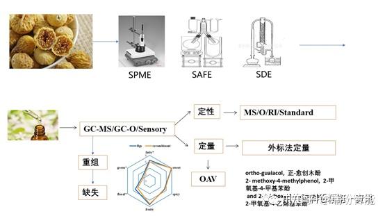 通过GC-MS、GC-O、气味活性值和感官分析对新疆无花果干中的主要香气化合物进行鉴定 - 知乎
