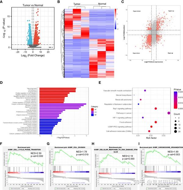 易基因｜典型案例：MeRIP-seq综合分析肺腺癌中的转录组m6A甲基化组 - 知乎