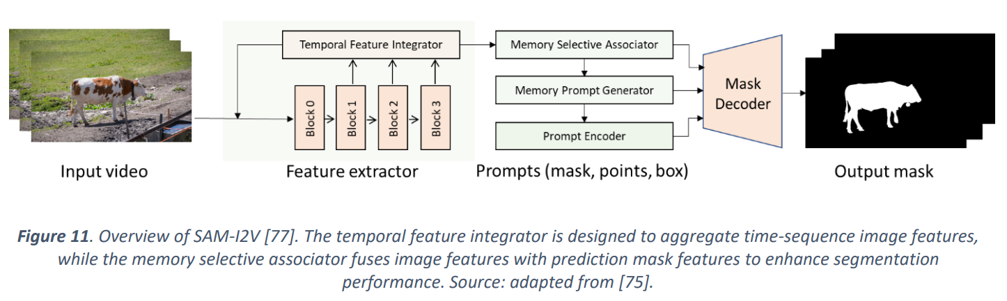 SAM/SAM2赋能视频万物分割与追踪：一篇“过去、现在、未来”的全面综述 - 知乎