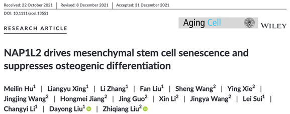 2022上半年NMN研究盘点 - 知乎