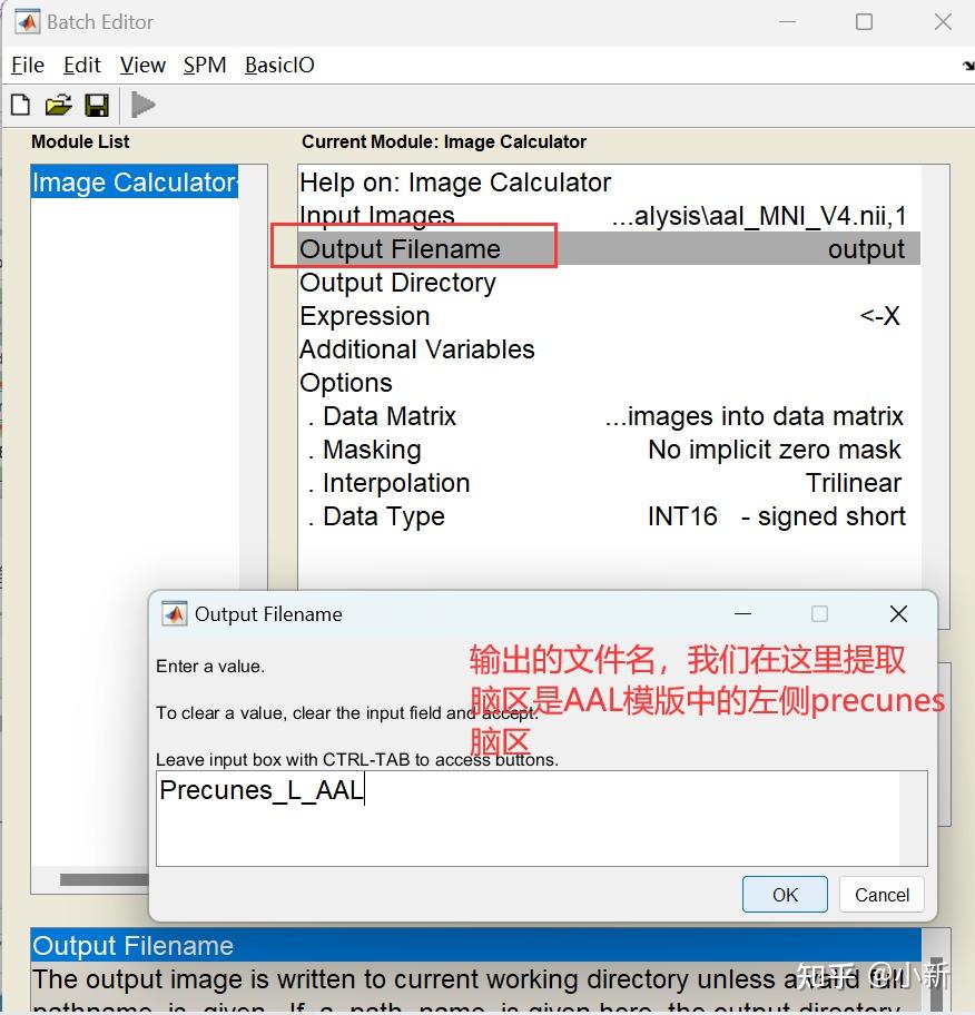 15（2）SPM-fmri任务态 制作ROI mask（客观模版） - 知乎