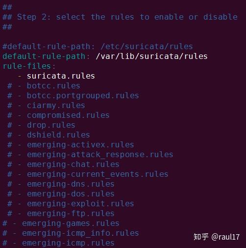 Suricata规则介绍、以及使用suricata-update做规则管理 - 知乎