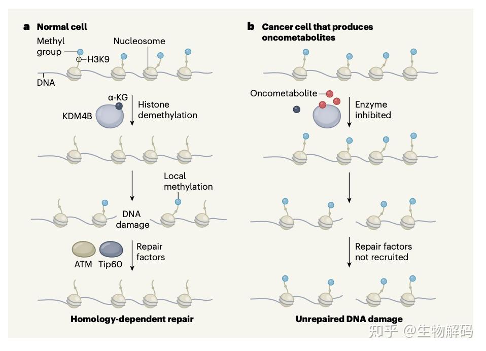 每日文摘 | 2020年06月07日 - 知乎