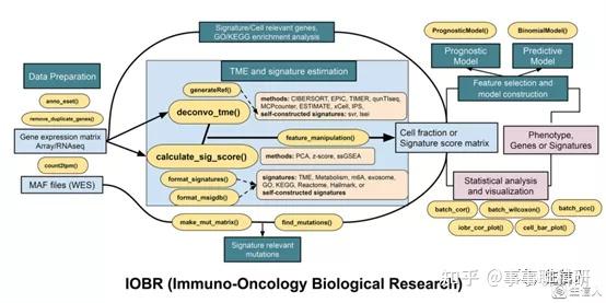 IOBR：多组学免疫研究新工具 - 知乎