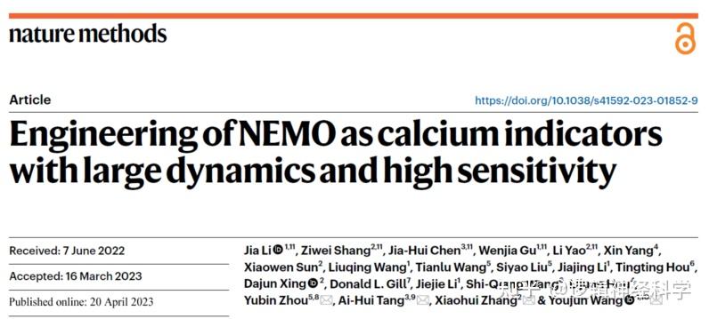 Nat Methods︱北京师范大学章晓辉/王友军与中国科学技术大学唐爱辉合作开发出新型的高灵敏钙信号荧光蛋白探针 - 知乎