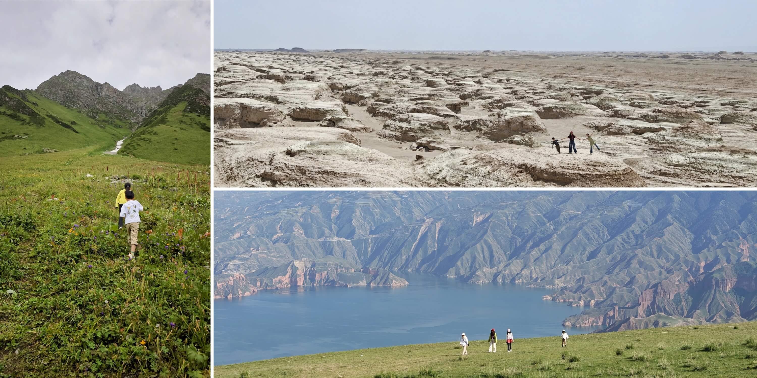 没有 AI，没有融资，一个 17K Star 开源项目的真实收入 - 知乎