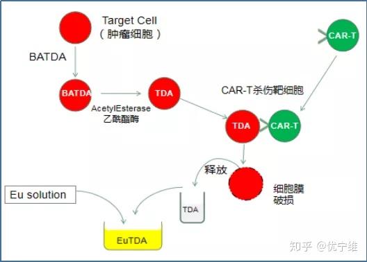 高灵敏度荧光ELISA——带您认识DELFIA技术！ - 知乎