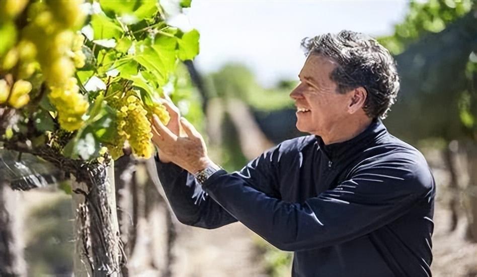 酒届乔布斯的阿根廷名庄——科博斯Cobos - 知乎