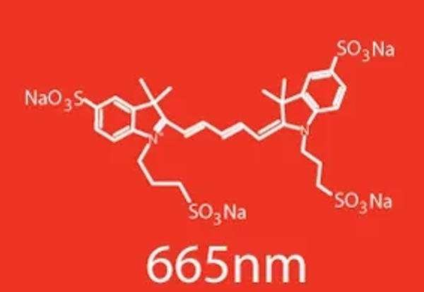 市场上有哪些常见的近红外光荧光染料？