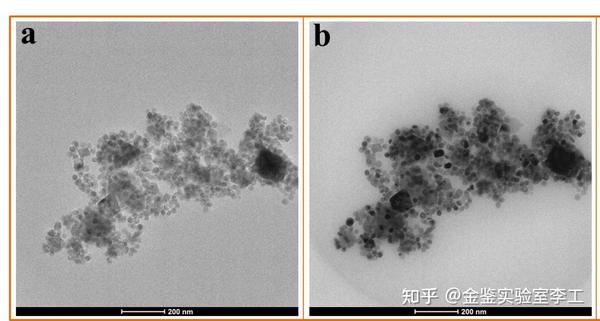 介绍两种照射模式下的TEM透射电子显微镜 - 知乎