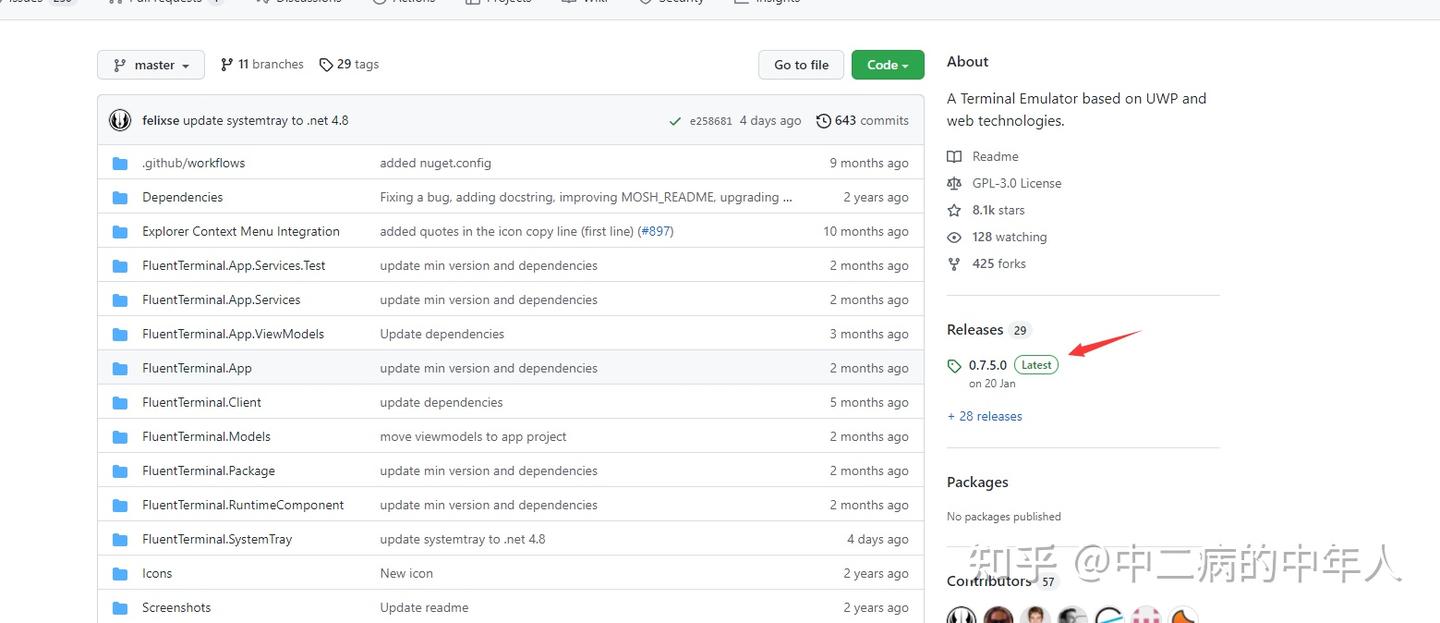 Fluent Terminal 完整配置（持续更新） - 知乎