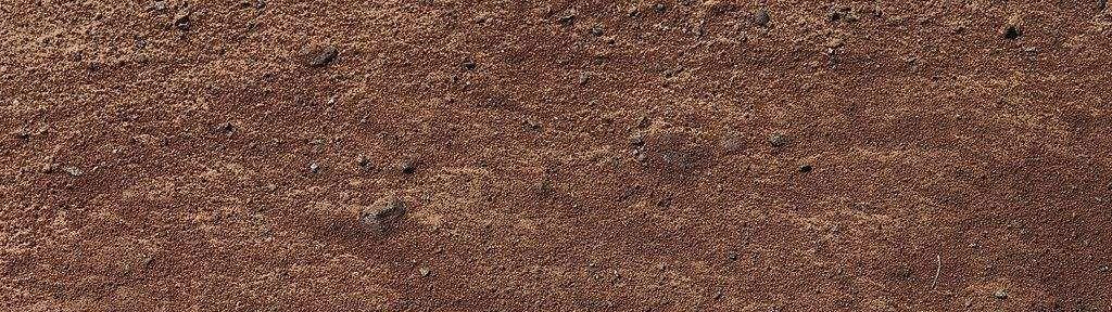 童年课堂 解剖农场lesson 2 知乎