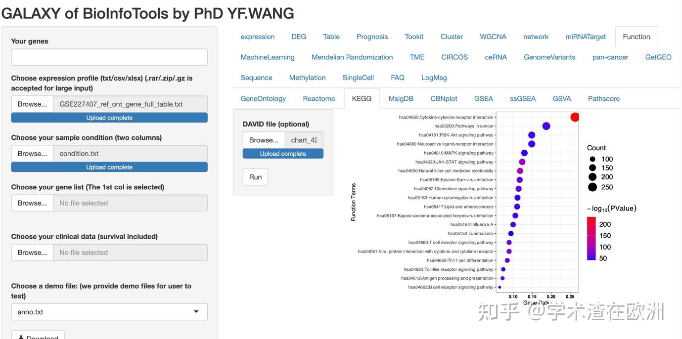 Biowinford全网最全的生信零代码网页工具—功能富集分析（升级） - 知乎