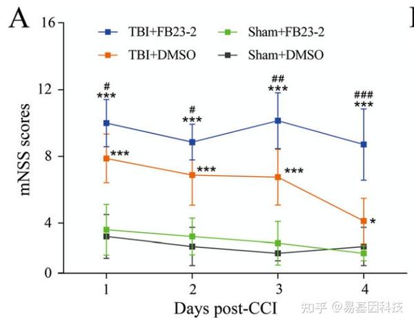 干货系列：高通量测序后的下游实验验证方法——m6A RNA甲基化篇｜易基因 - 知乎