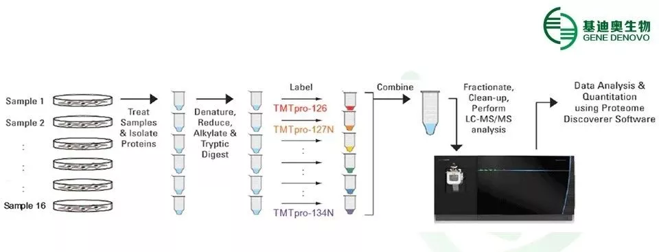 蛋白质谱定量技术——TMT pro - 知乎