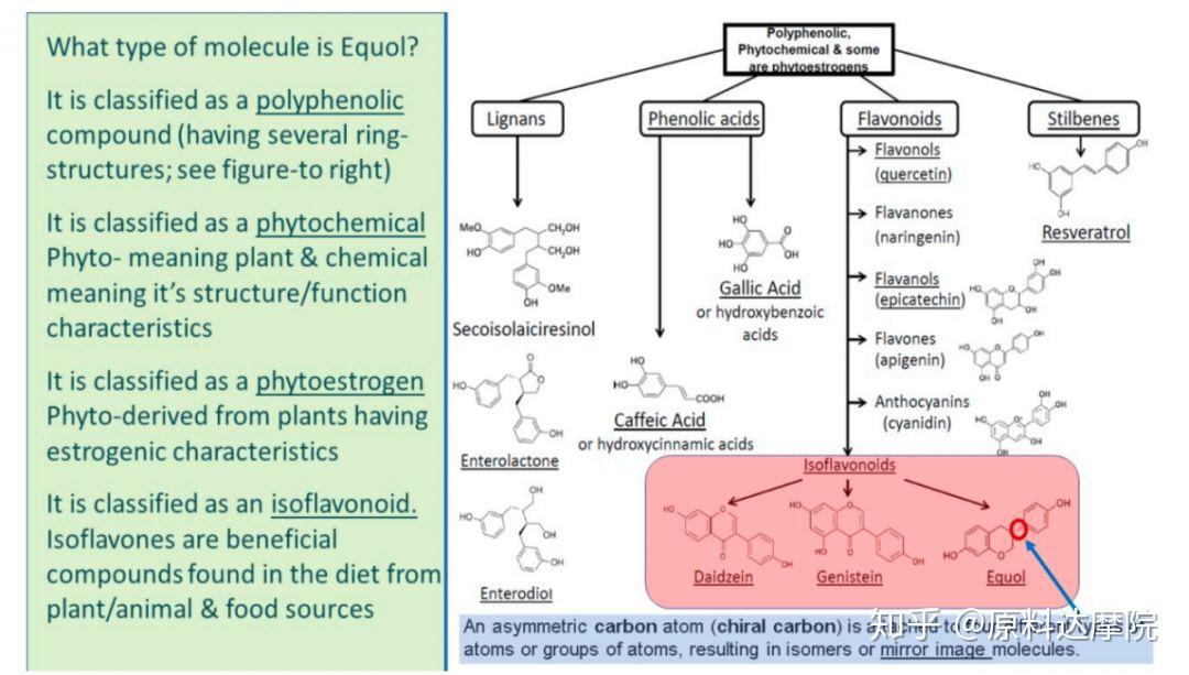 Equol通过增加皮肤的抗氧化防御和ECM蛋白（下） - 知乎