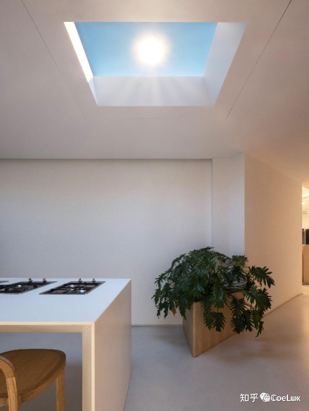 CoeLux 产品系列 - 知乎