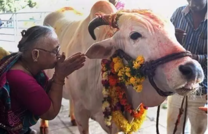 走进真正的印度 - 知乎