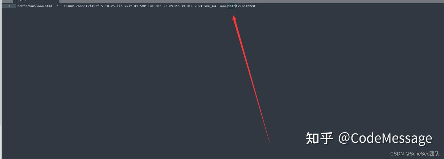 网络安全CTF流量分析-入门3-Webshell连接流量分析 - 知乎