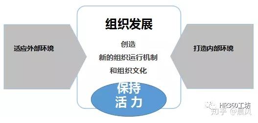 HR的必杀技“3D”：LD、TD、OD - 知乎