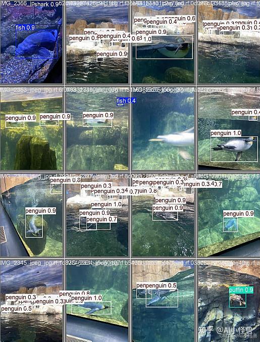 基于YOLO11的水下物体检测系统（Python源码+数据集+Pyside6界面） - 知乎