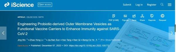 iScience︱叶邦策团队发表改造益生菌外膜囊泡高效递送新冠病毒抗原，为疫苗开发提供新思路 - 知乎