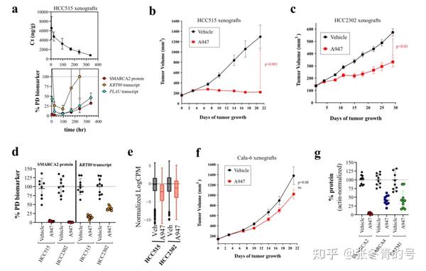 选性SMARCA2-PROTAC在SMARCA4突变型癌症中的应用 - 知乎