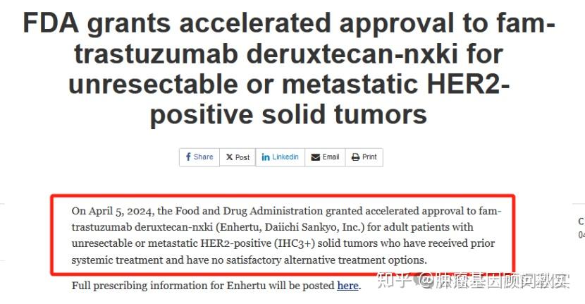 首款抗HER2 ADC药物被FDA加速批准于不限癌种的实体瘤！ - 知乎