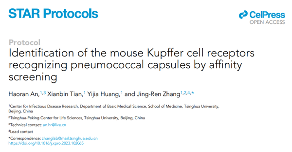 STAR Protocols︱清华大学张敬仁团队发表鉴定细菌荚膜多糖免疫识别受体的实验方案 - 知乎