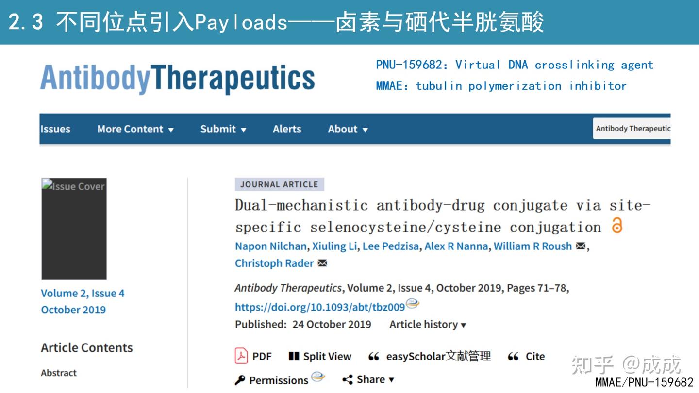 双载荷ADC的构建思路| Antibody-drug conjugates with dual payloads - 知乎