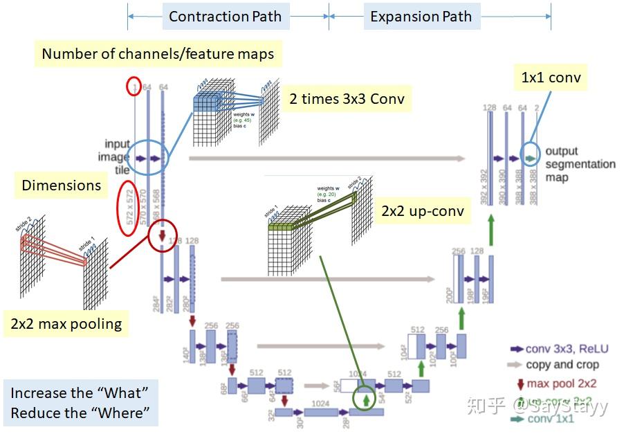 从零开始编写U-Net模型 - 知乎