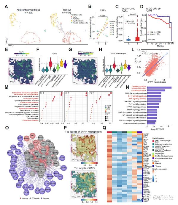中国科学技术大学用单细胞+空间多组学技术揭示肝细胞癌微环境的肿瘤免疫屏障 - 知乎