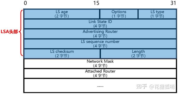 OSPF LSA报文格式总结 - 知乎