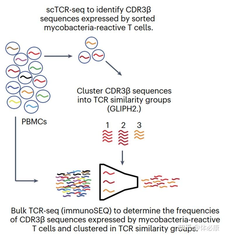 Nature Medicine丨T细胞受体组库分析助力结核疫苗研发！ - 知乎