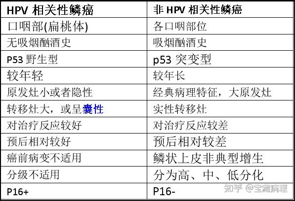 HPV相关的口咽鳞癌（OPSCC-HPV）病理诊断要点 - 知乎