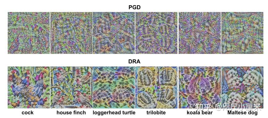 [论文总结] Distribution-Relevant Attack (DRA) - 知乎
