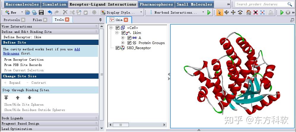 Discovery Studio官方教程（Help-Tutorials） 定义蛋白活性位点以进行分子对接 - 知乎