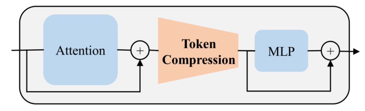 DiffRate：首个可微分Token压缩，性能SOTA - 知乎